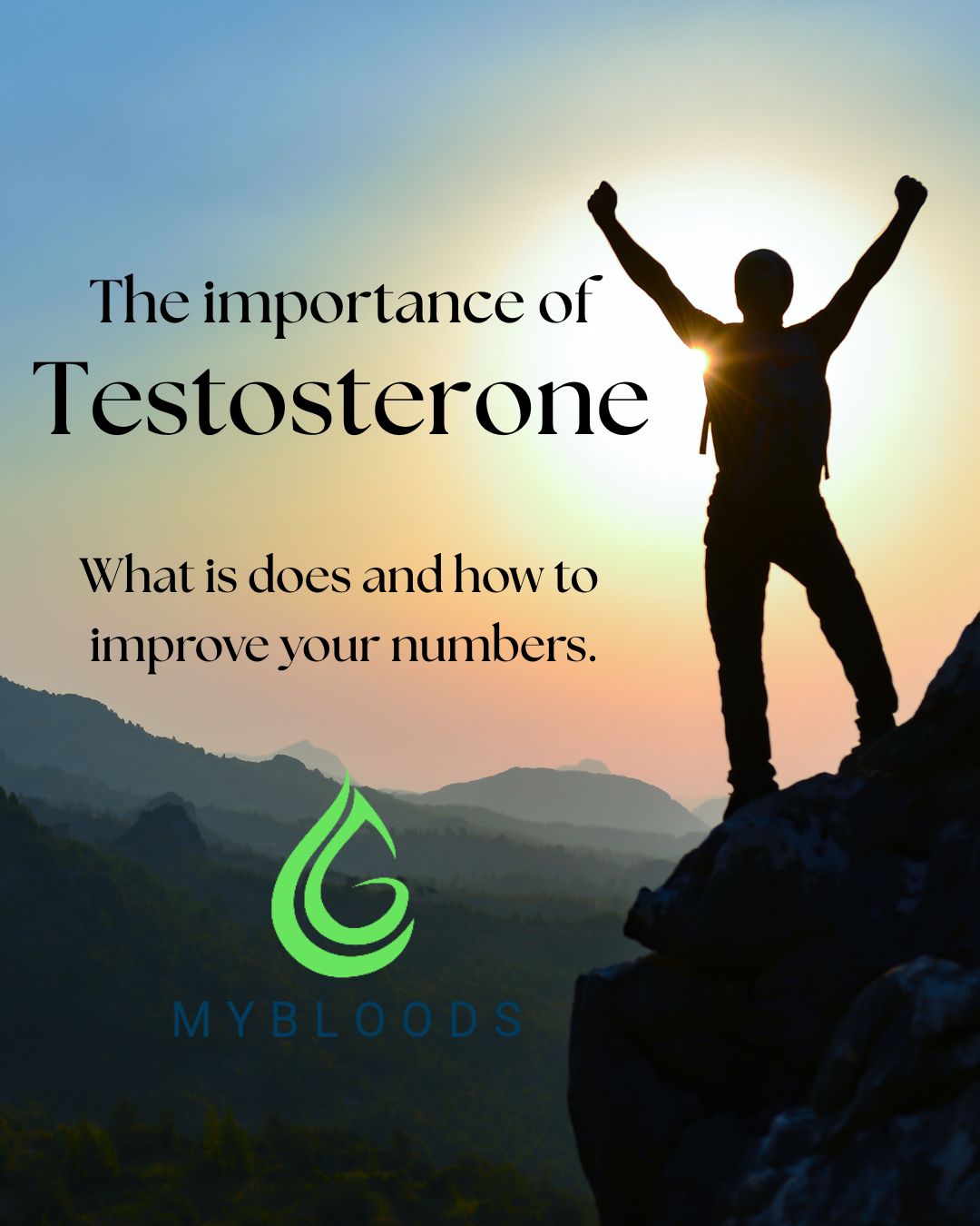The Importance of Testosterone - MyBloods